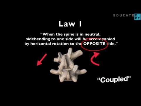 What are Fryette's 3 Laws?