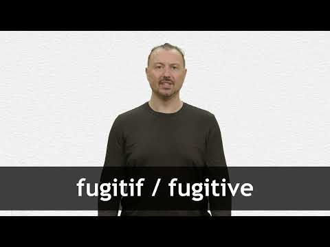 English Translation of “FUGITIF” | Collins French-English Dictionary