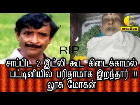 Loose Mohan Died without 2 Idlies to Eat ¦ Tamil Cinema news ¦ Tamil Cinema Seithigal