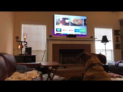 Streaming tv services explained, or attempted to be