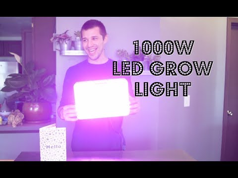 LED Grow Light Review! HIGROW 1000W