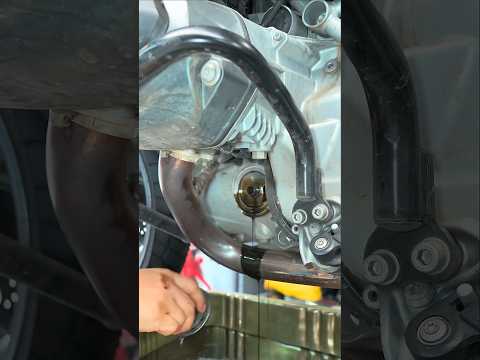 BMW 1250 GS Maintenance!