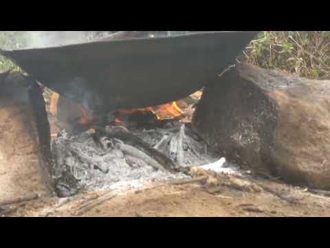 is told how to make a wild animal soup
