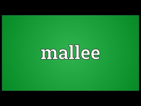 Mallee Meaning