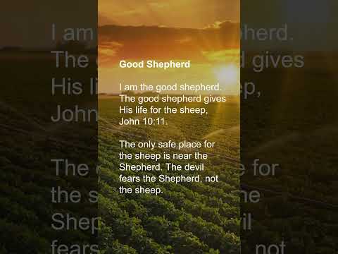 The Good Shepherd Who Gave His Life | Jesus Throughout The Bible |
