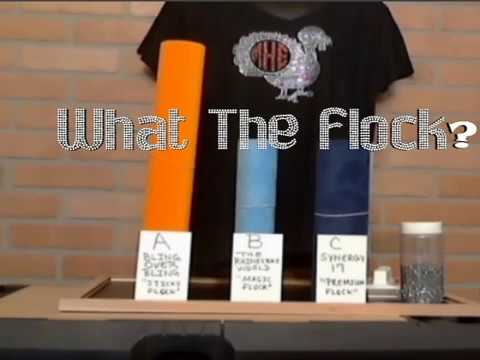 What The Flock?!