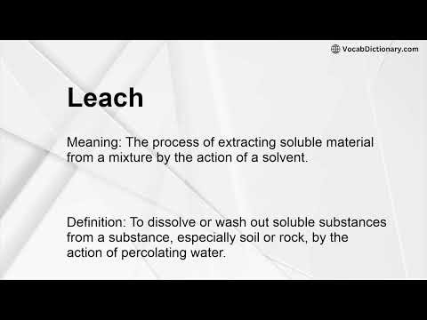 Leach Meaning
