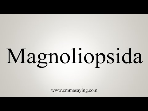 How To Say Magnoliopsida