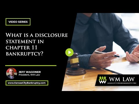 What Is the Disclosure Statement in Chapter 11 Bankruptcy? | W M Law