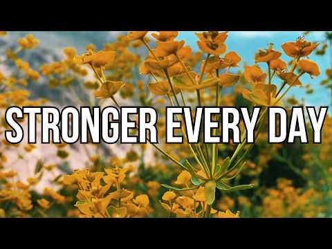 💐 Stronger Every Day 💐 | Motivational Song With Lyrics | English Song | Music | Dream Fuel