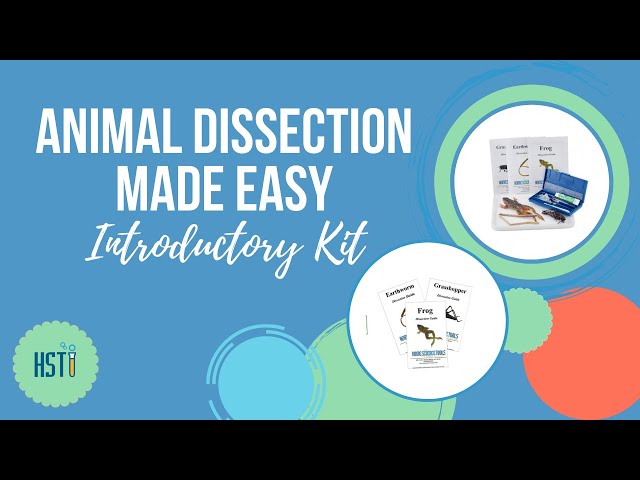 Student Dissection Kit for Science Anatomy Labs