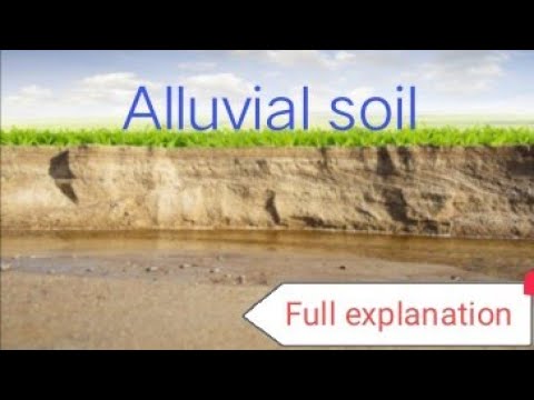 Alluvial soil || Types of soil || Full explanation||PT-1||@geo2293
