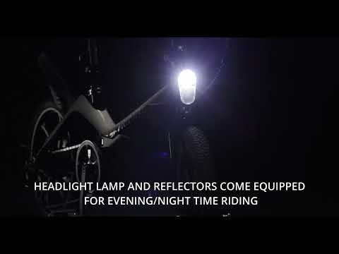 BLAUPUNKT eBike FIENE/FIETE/HENRI Features