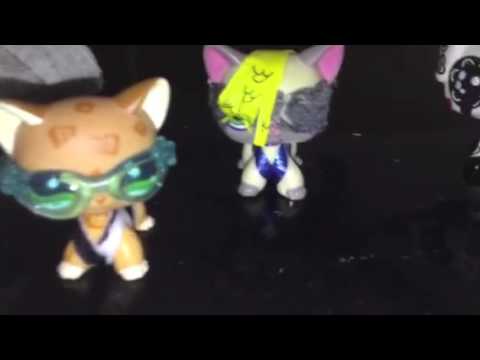 THE ELF HAS COME-NPLPS thanksgiving vlog #1