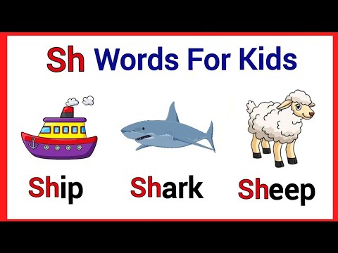 Sh words for kids/sh words/sh words with pictures/digraph sh words/sh sound #shwords #digraphsh