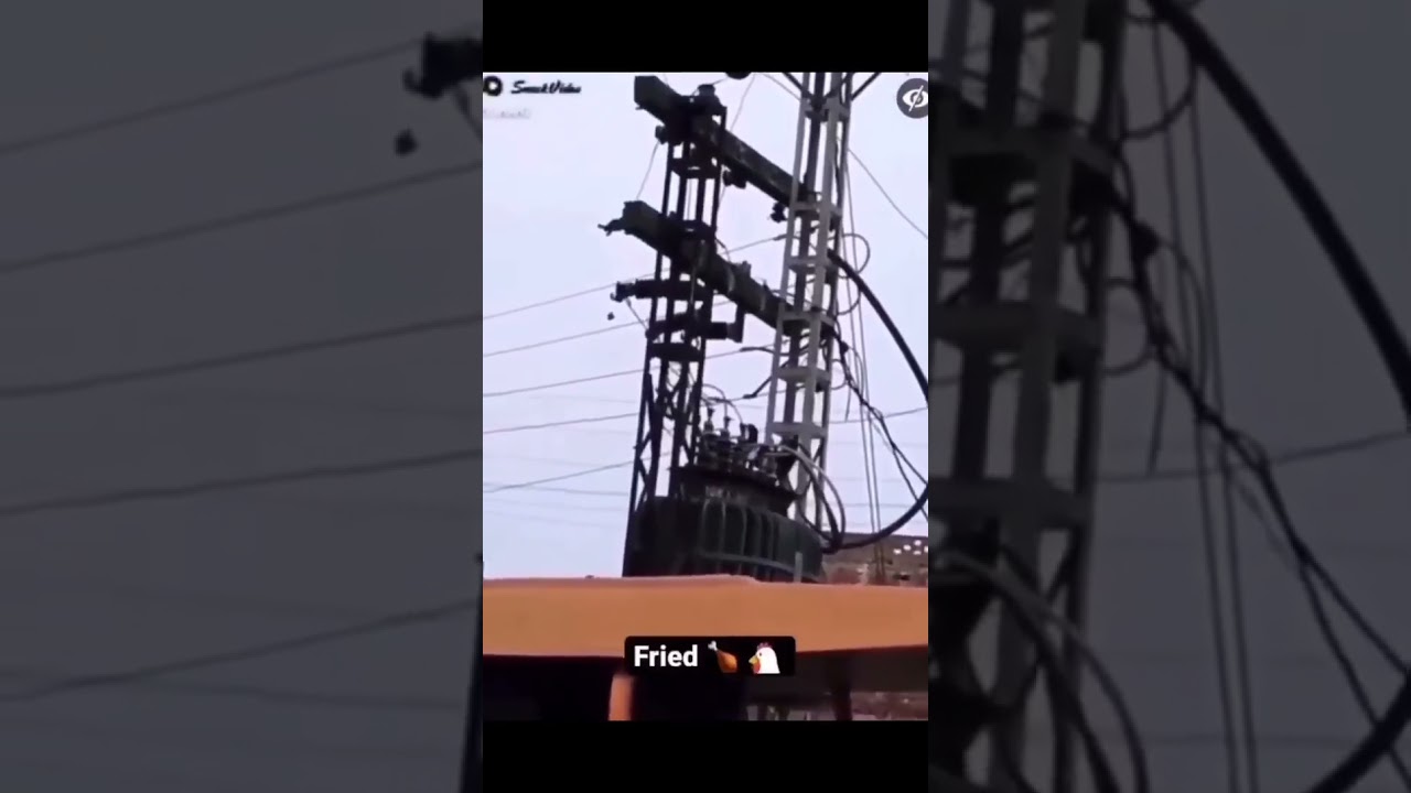 chicken #funny #funnyvideo #fypシ #fyp