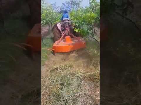 Shrub Master - Shrub Master Grass Cutter Machine Latest Price ...