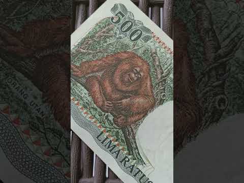 Rp. 500 Orang Utan, Uang Lima Ratus Kertas Terakhir #koleksiuangkunoindonesia