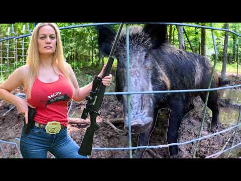 WILD ANGRY PIGS ARE BACK! Queen Hunter Gets a BIG ONE