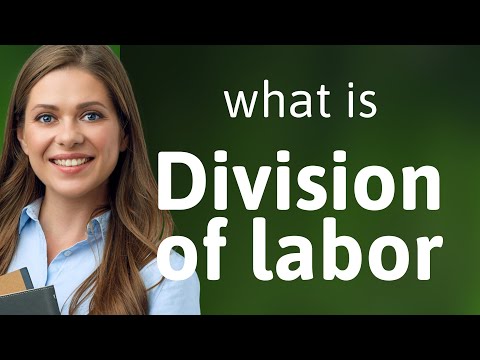 Understanding the "Division of Labor": Simplifying Complex Concepts