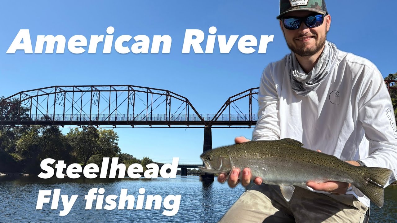 Fly Fishing on the American River for Steelhead