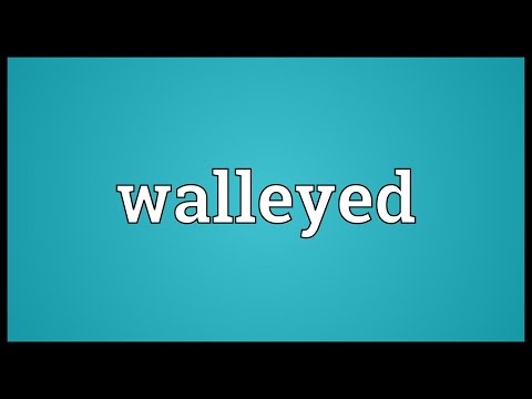 Walleyed Meaning