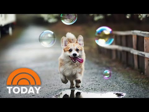Adobe unveils new AI features in Photoshop: Get a first look