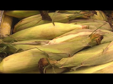 Affordable ways to eat organic food | Good Day Atlanta