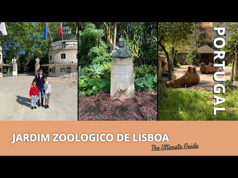 JARDIM ZOOLOGICO | LISBON ZOO | PORTUGAL | THE ULTIMATE GUIDE