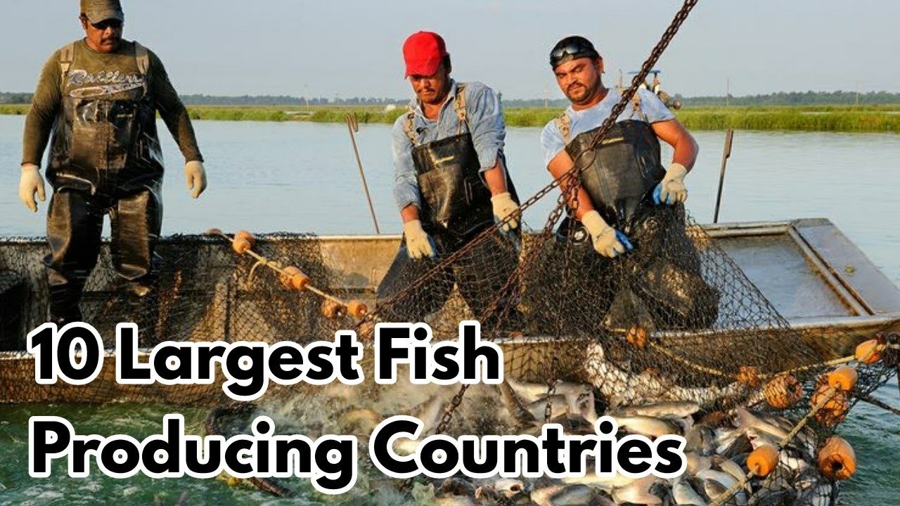 Top 10 Largest Fish Producing Countries In The World