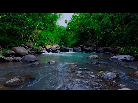 River Sounds β Flowing Water & Gentle Stream Ambience No Ads for Deep Sleep & Mental Relief π§πΏπ