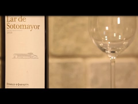 Viadeo - 定義 - サイエンス・ハブ