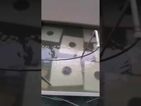 JEERIMFN Immersible Ultrasonic Cleaning Machine with Filter