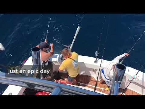 DEEP Offshore: Big Eye Tuna End Game 'RALLY CAP'