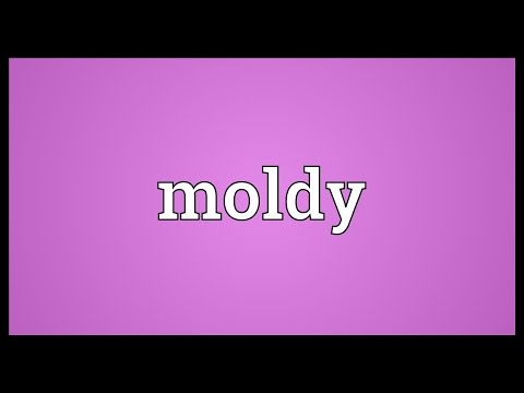 Moldy Meaning