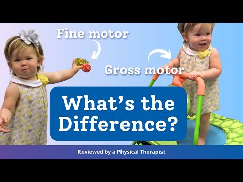 Gross vs. Fine Motor Skills: Understanding the Difference & Activities to Support Development