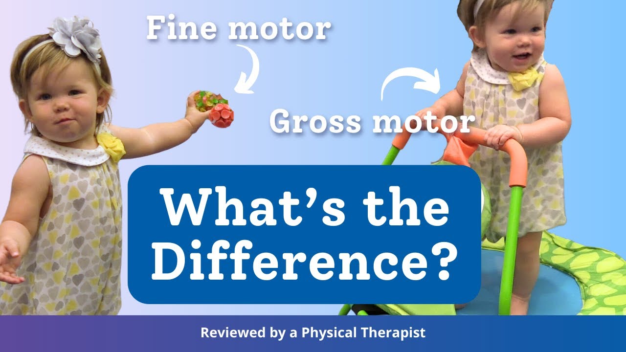 Gross vs. Fine Motor Skills: Understanding the Difference & Activities to Support Development