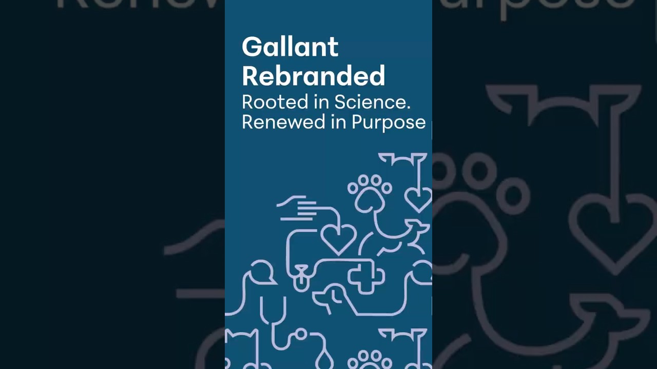 Gallant Rebranded #TheGallantWay #leadingthepack   #goodthingsarecoming  #gettingbetter
