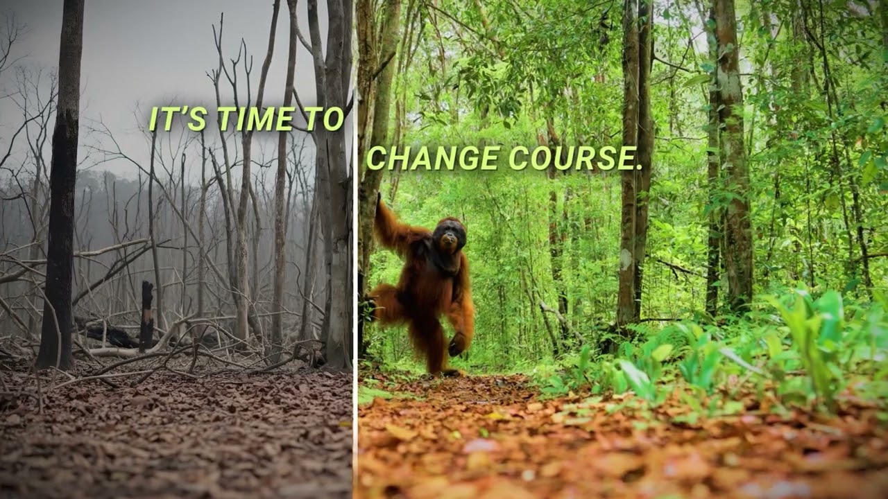 Meet the Moment | One Tree Planted