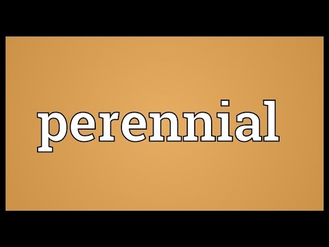 Perennial Meaning
