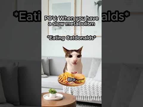 CAT MEMES 🐱 WHEN YOU HAVE A SLOW METABOLISM #relatable #cat #funny #food #shorts