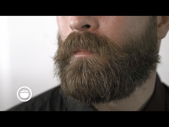 How to Get an Athletic Shaped Beard – Beardbrand