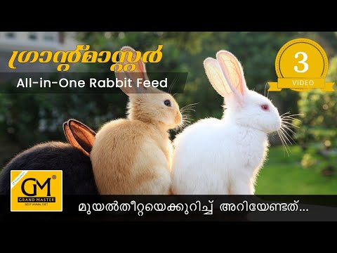 Manufacturer of Animal Feeds & cattle feed by Grand Master Feeds ...