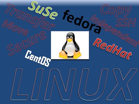 How to use scp command in Linux
