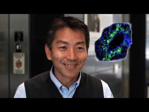 Toshio Miki CIRM Stem Cell #SciencePitch Challenge