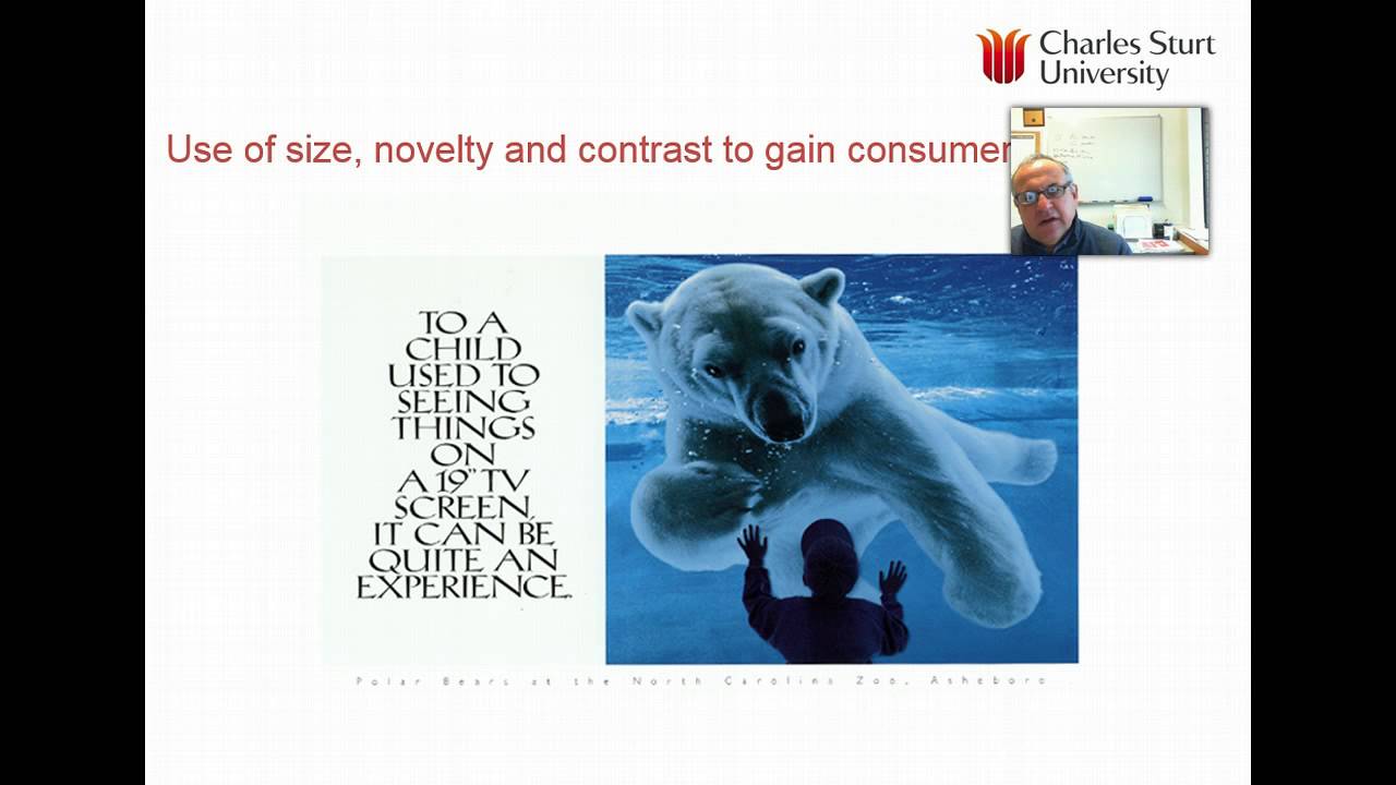 Lecture 7: Consumer peception