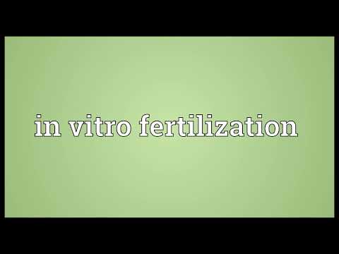 In vitro fertilization Meaning