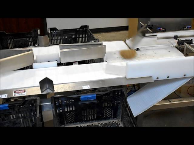 Custom - Thompson Scale Company - Checkweighers