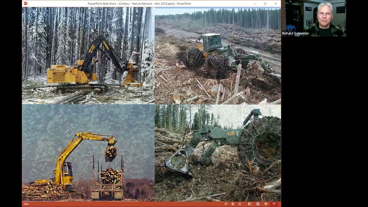 The Long and Winding Road to Caribou Recovery in Alberta