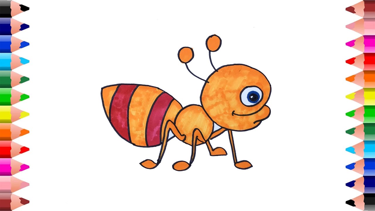 How to draw and color ant - ant coloring pictures
